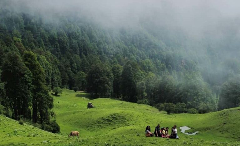 Dayara Bugyal Trek Guide: Tips, How to Reach, Best Time, and Sightseeing