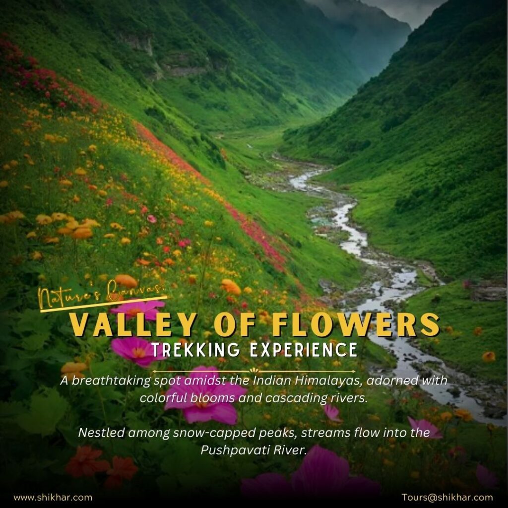 Nature's Canvas: Valley of Flowers Trekking Experience